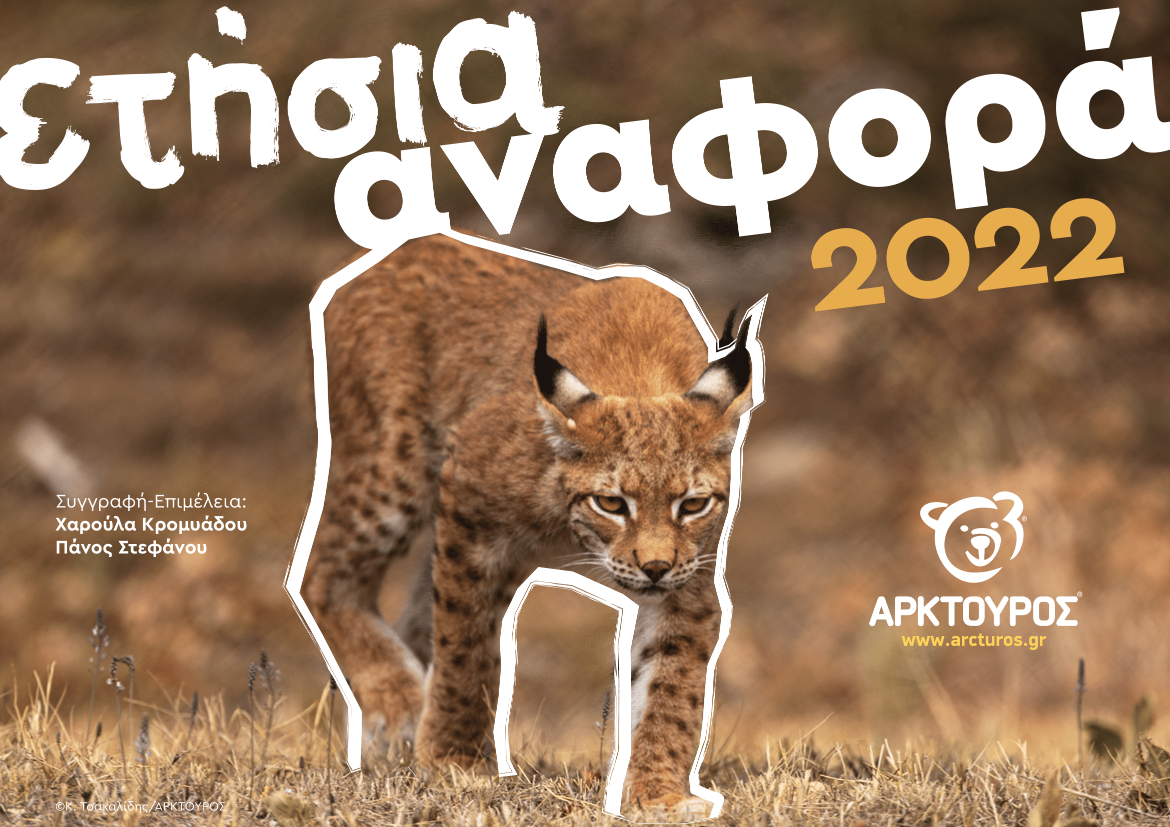 Ετήσια αναφορά 2022: Βάζοντας τις βάσεις για μια νέα εποχή | ΑΡΚΤΟΥΡΟΣ